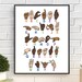 American Sign Language Poster | ASL Color Alphabet | DIGITAL DOWNLOAD ...