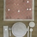 Multicolor Placemat Table Setting Matching Activity INSTANT - Etsy