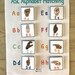 Learn, Teach American Sign Language Letter Matching Game| ASL Alphabet ...