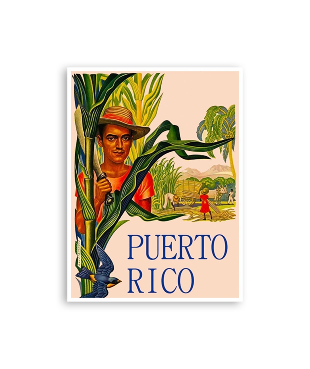 Puerto Rico Poster Vintage Art Print Canvas Hanging Wall Decor Xr1595 ...