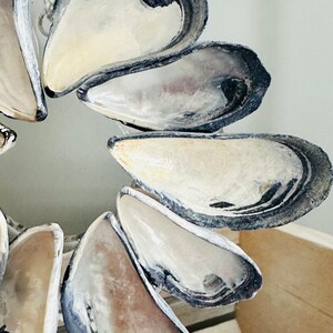 Mini Mussel Shell Wreath - Etsy