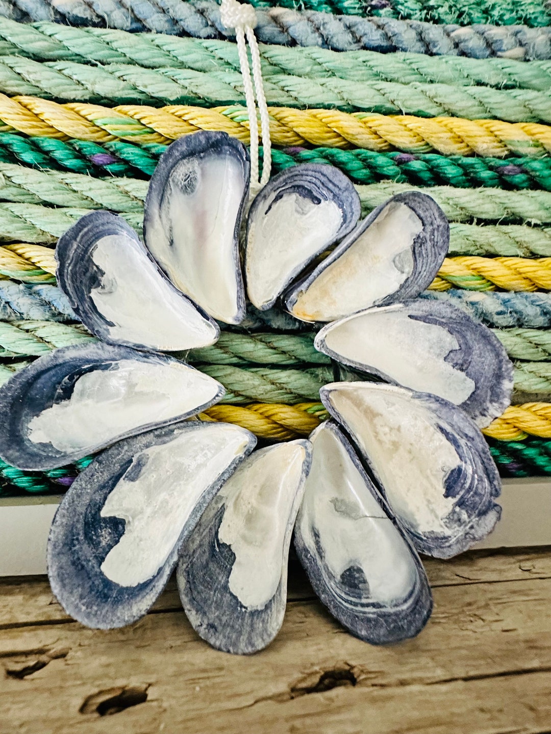 Mini Mussel Shell Wreath - Etsy