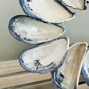 Mini Mussel Shell Wreath - Etsy