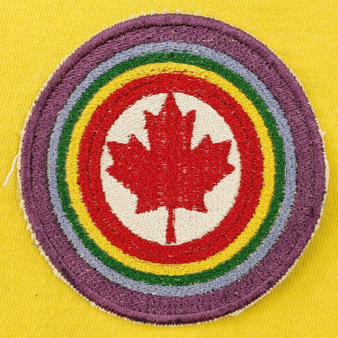 VINTAGE Rainbow CANADIAN Maple Leaf, Resembles the Air Force Logo ...