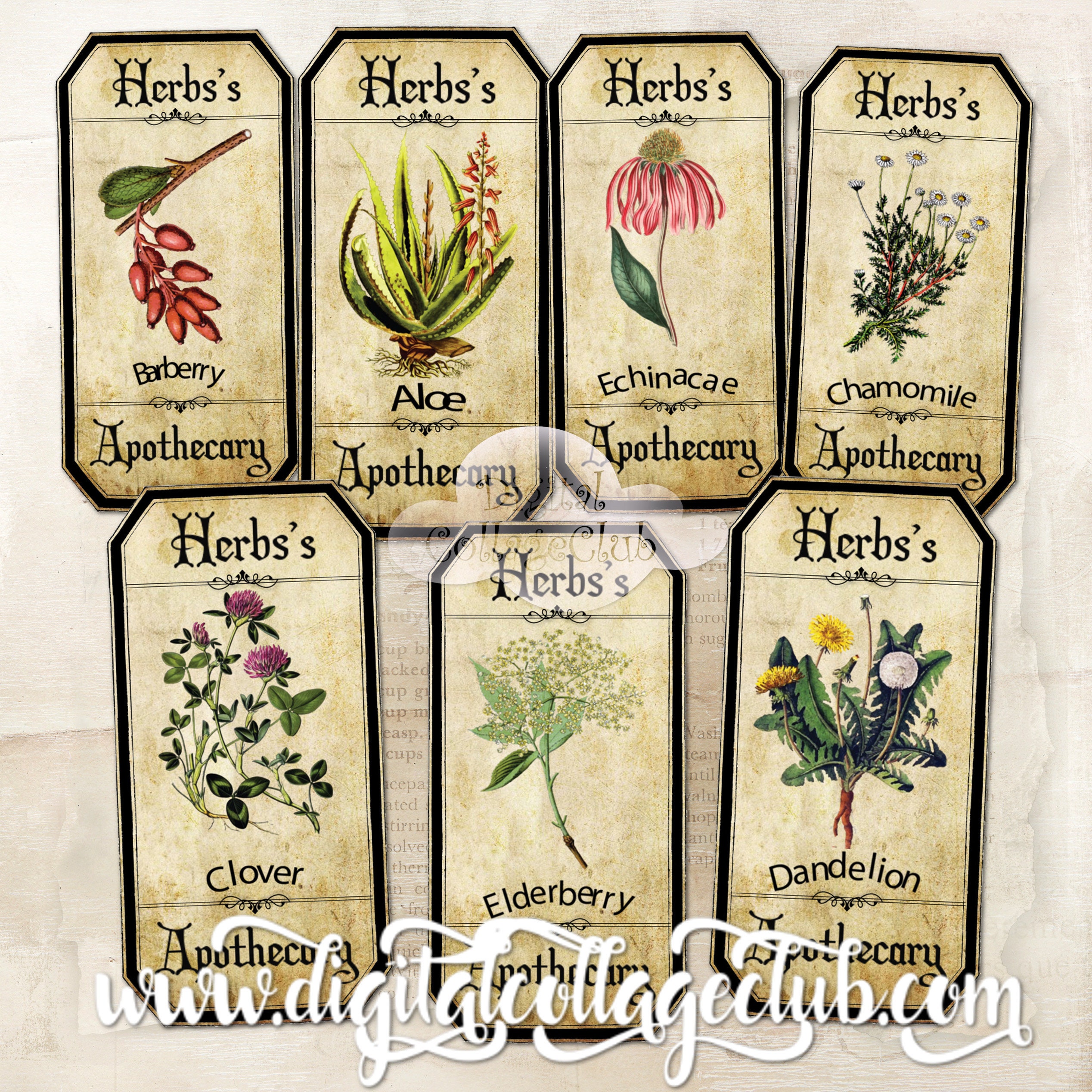 Medicinal Herbs Herbal Apothecary Labels Digital Images for Tags ...