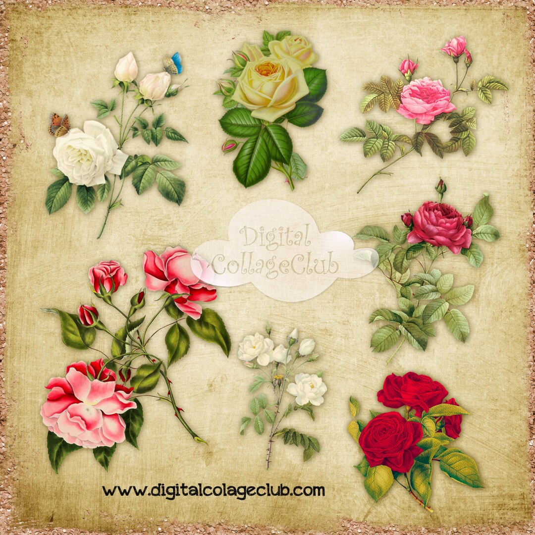 Vintage Victorian Flower Rose Clipart Clip Art Digital Images for ...