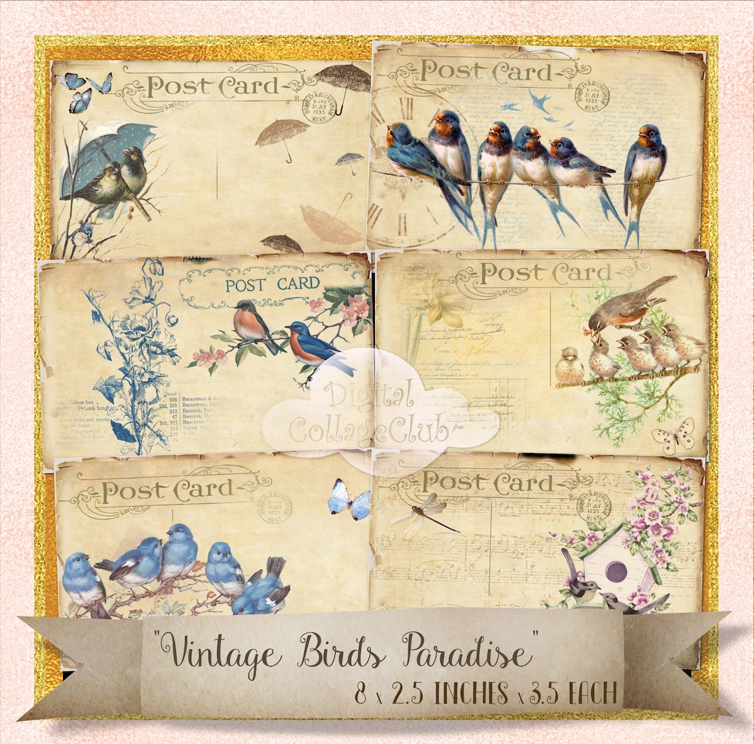 Vintage Birds Digital Postcards Vintage Nature Images for Scrapbooking ...