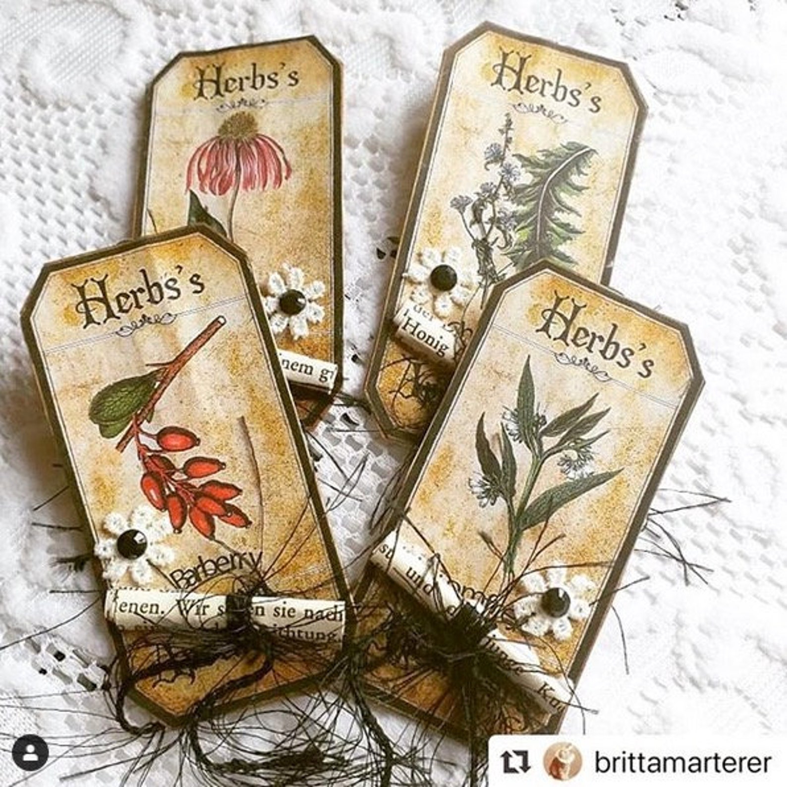 Medicinal Herbs Herbal Apothecary Labels Digital Images for - Etsy