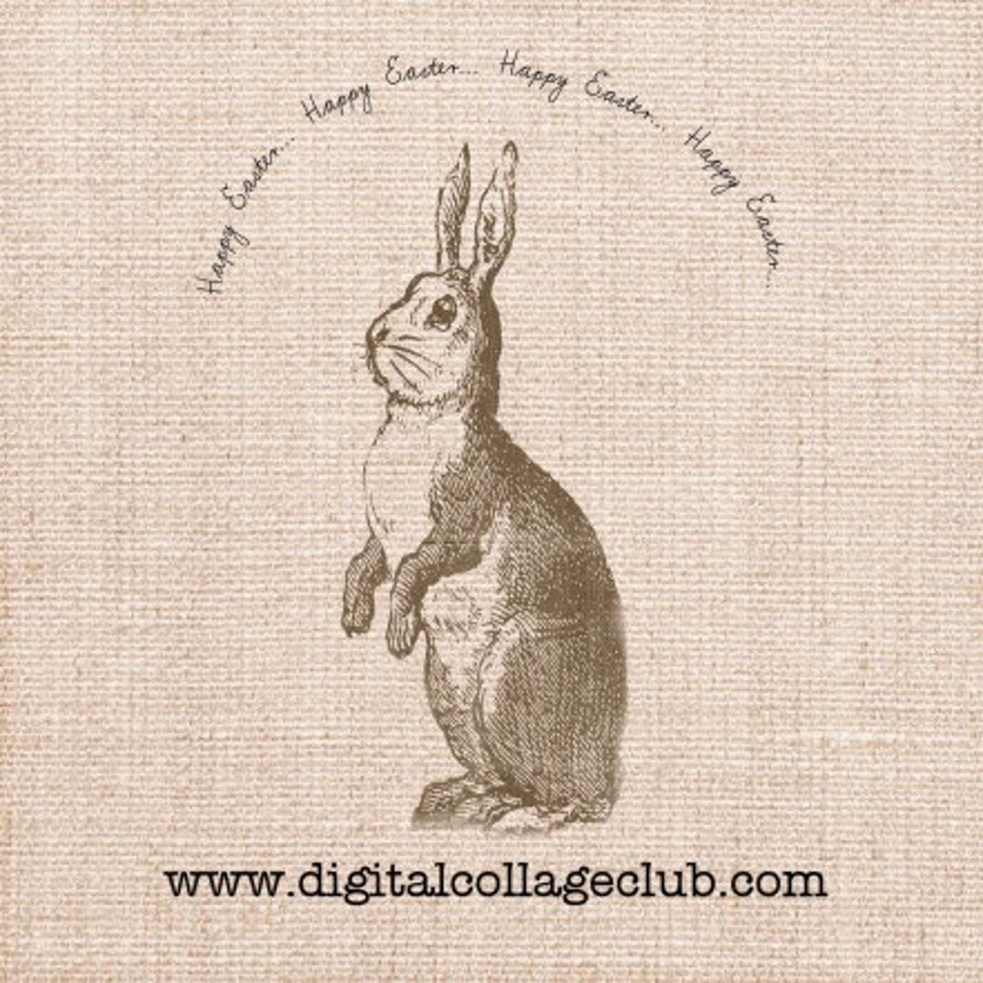 Easter Bunny Clipart Clip Art Digital Image for Scrapbooking, Decoupage ...