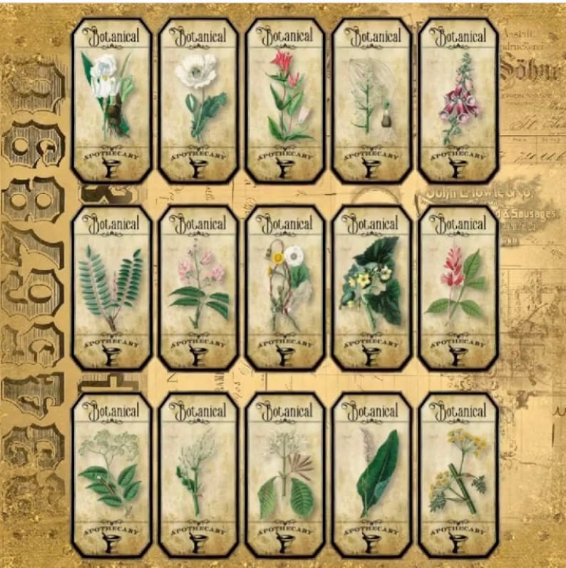 Botanical Apothecary Labels Digital Images for Tags Vintage - Etsy