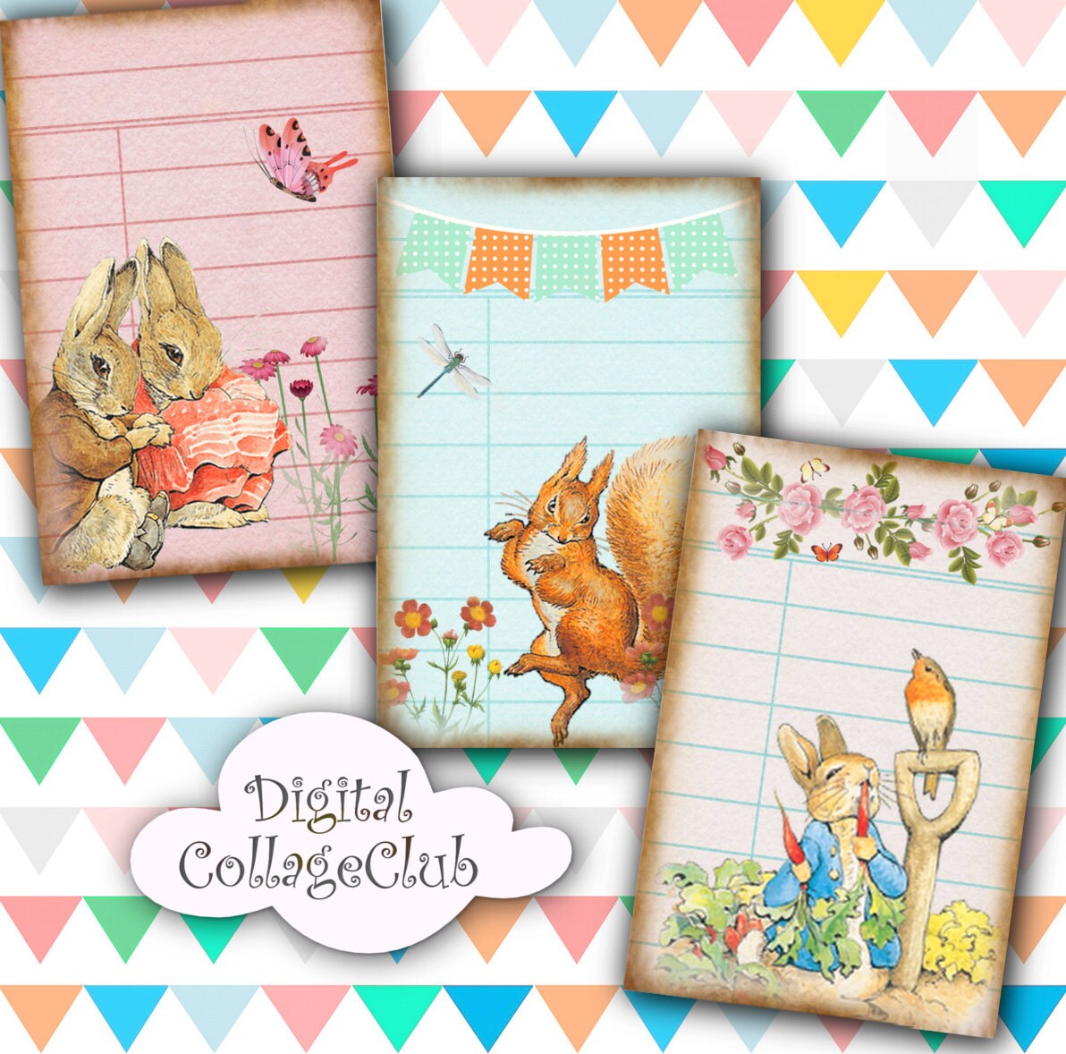 Peter Rabbit and Friends Digital Collage Sheet Library Cards, Digital ...