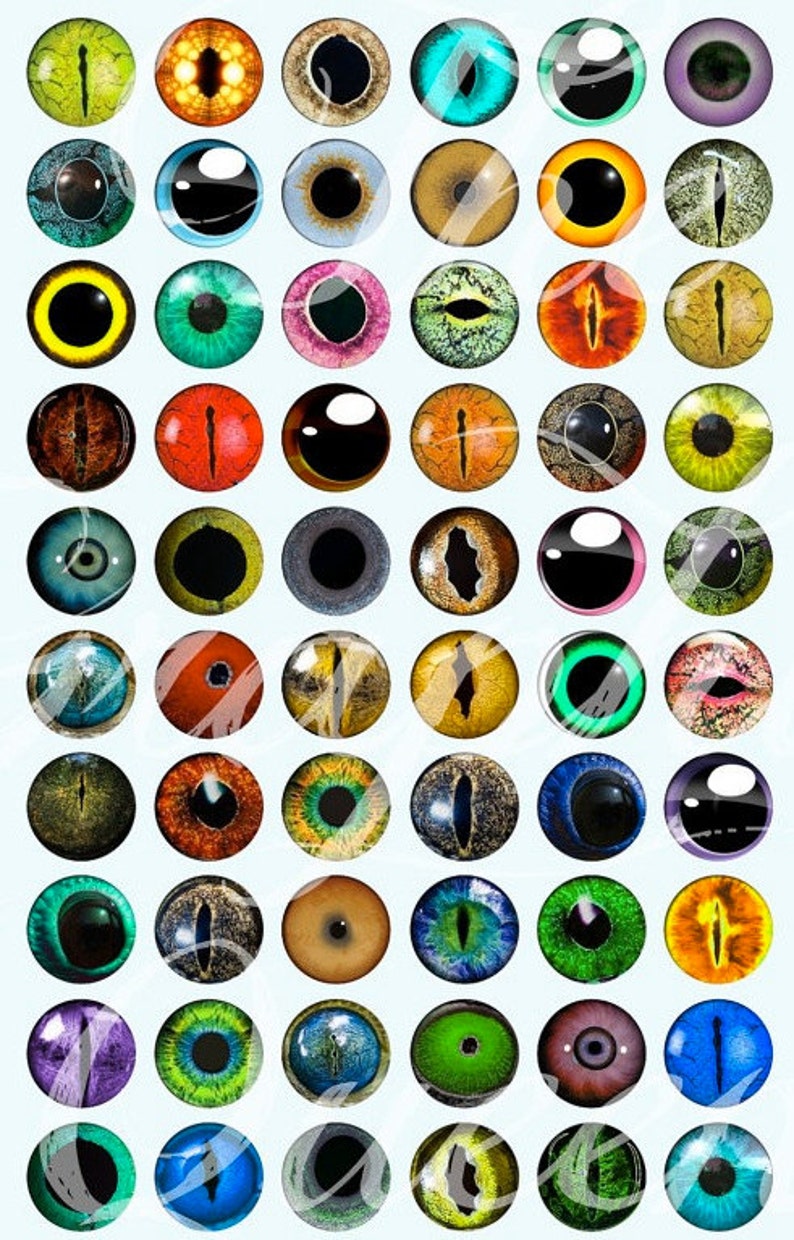 Animal Eyes Digital Collage Sheet Instant Downloads 10 Mm and | Etsy