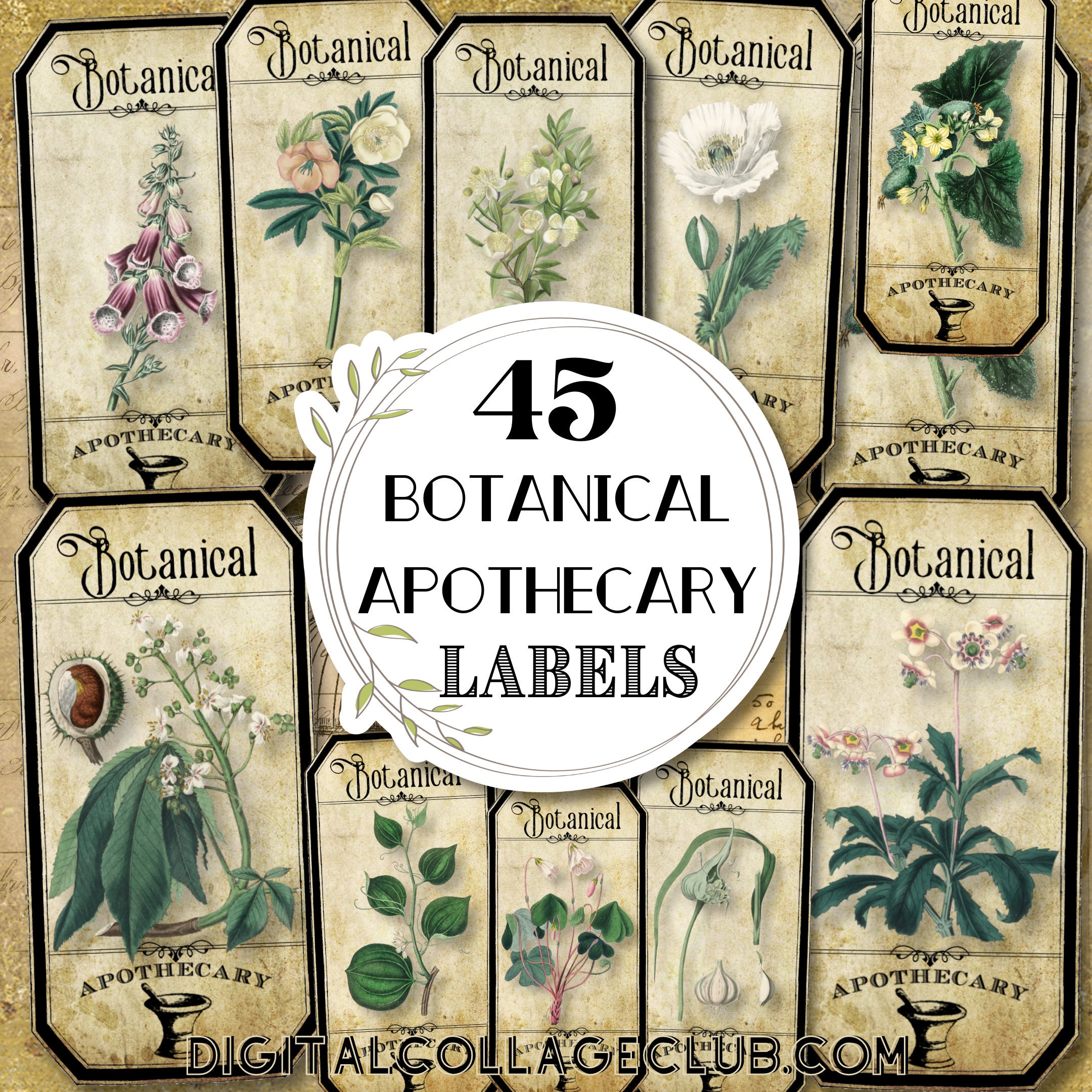 Apothecary Labels Clipart