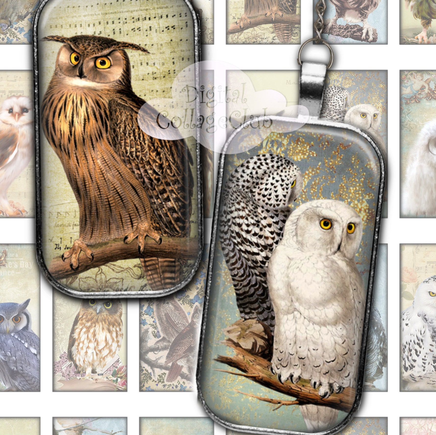 Vintage Owls 1 X 2 Digital Collage Sheet Images for Pendants | Etsy
