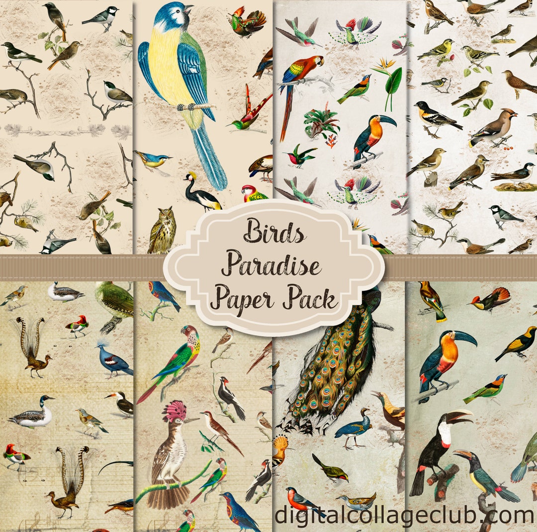 Bird Paradise Digital Paper Pack Collection Set Scrapbooking Pen Pal ...