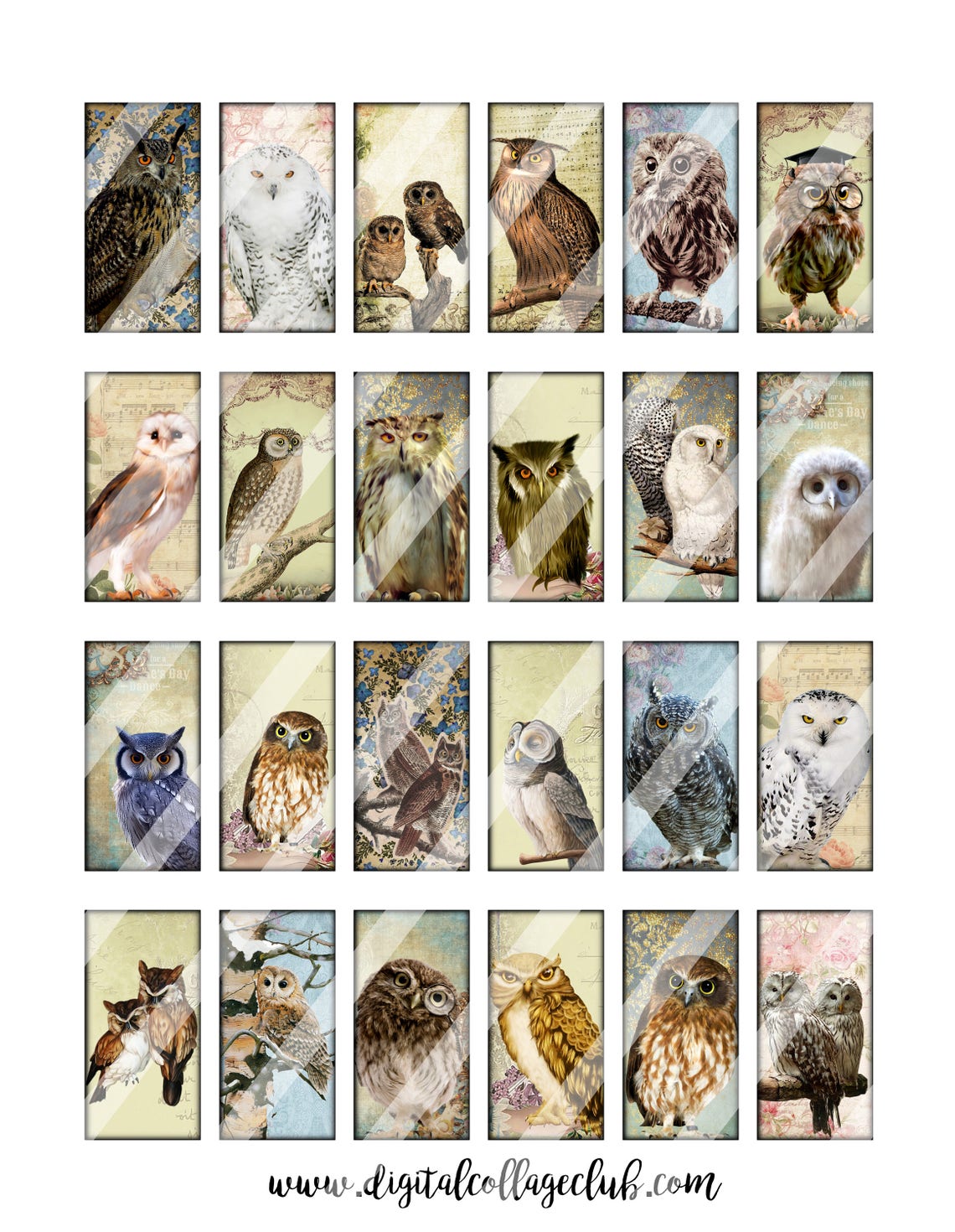 Vintage Owls 1 X 2 Digital Collage Sheet Images for Pendants - Etsy