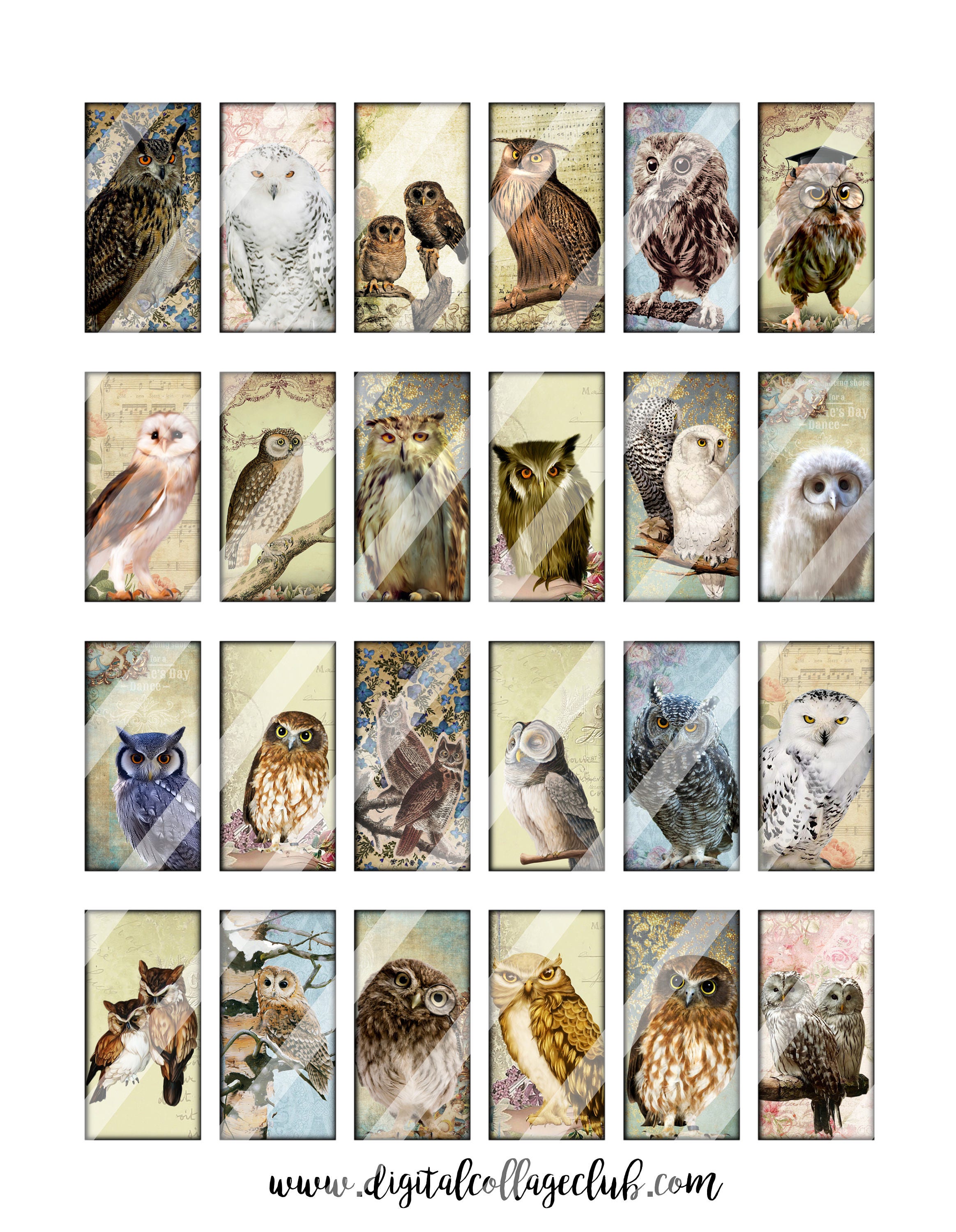 Vintage Owls 1 X 2 Digital Collage Sheet Images for Pendants | Etsy