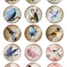 Magical Birds Bottle Cap Round Circle Images for Bottlecap Pendants ...