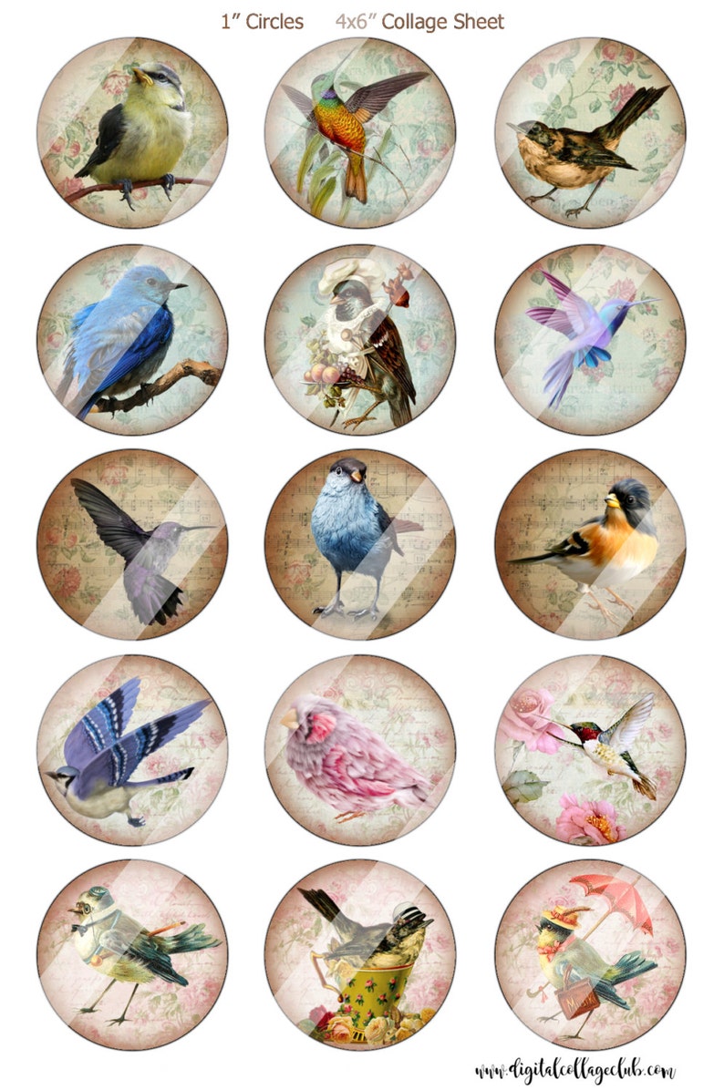 Magical Birds Bottle Cap Round Circle Images for Bottlecap Pendants ...