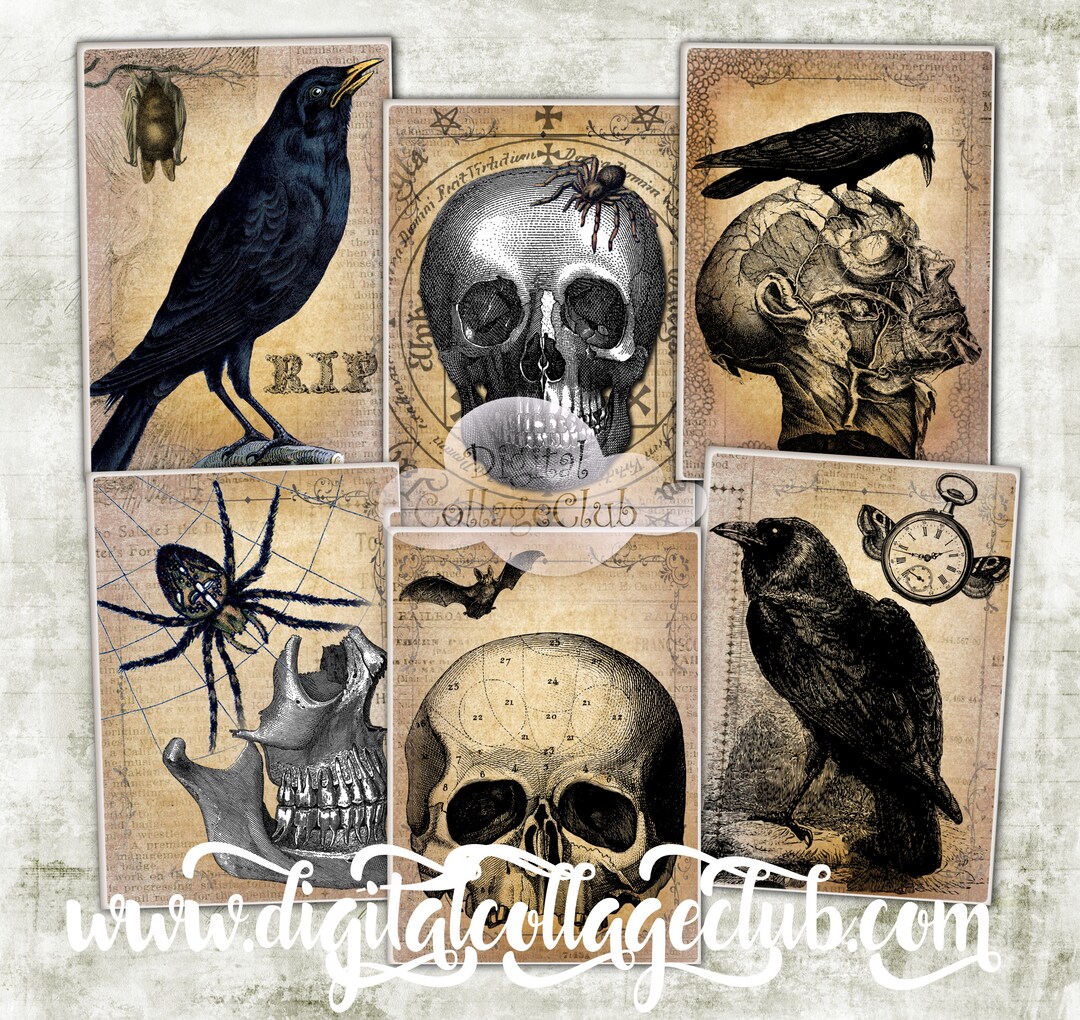 Creepy Halloween Raven Digital Collage Sheet Images for Jewelry Holders ...