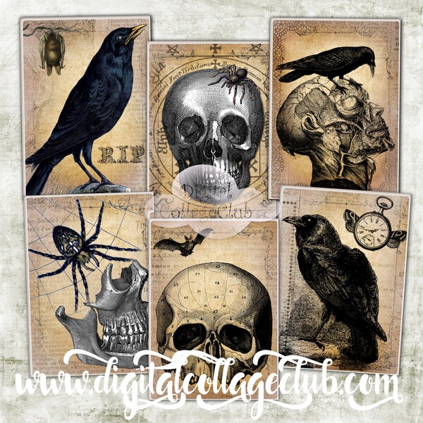 Halloween Raven - Etsy