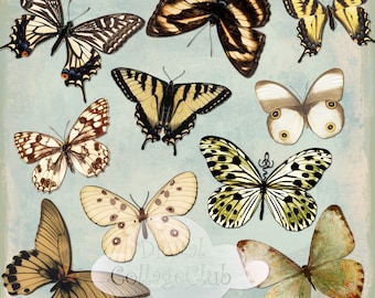 Butterfly Collage Digital Paper 8.5x11 Printable Sheets With - Etsy