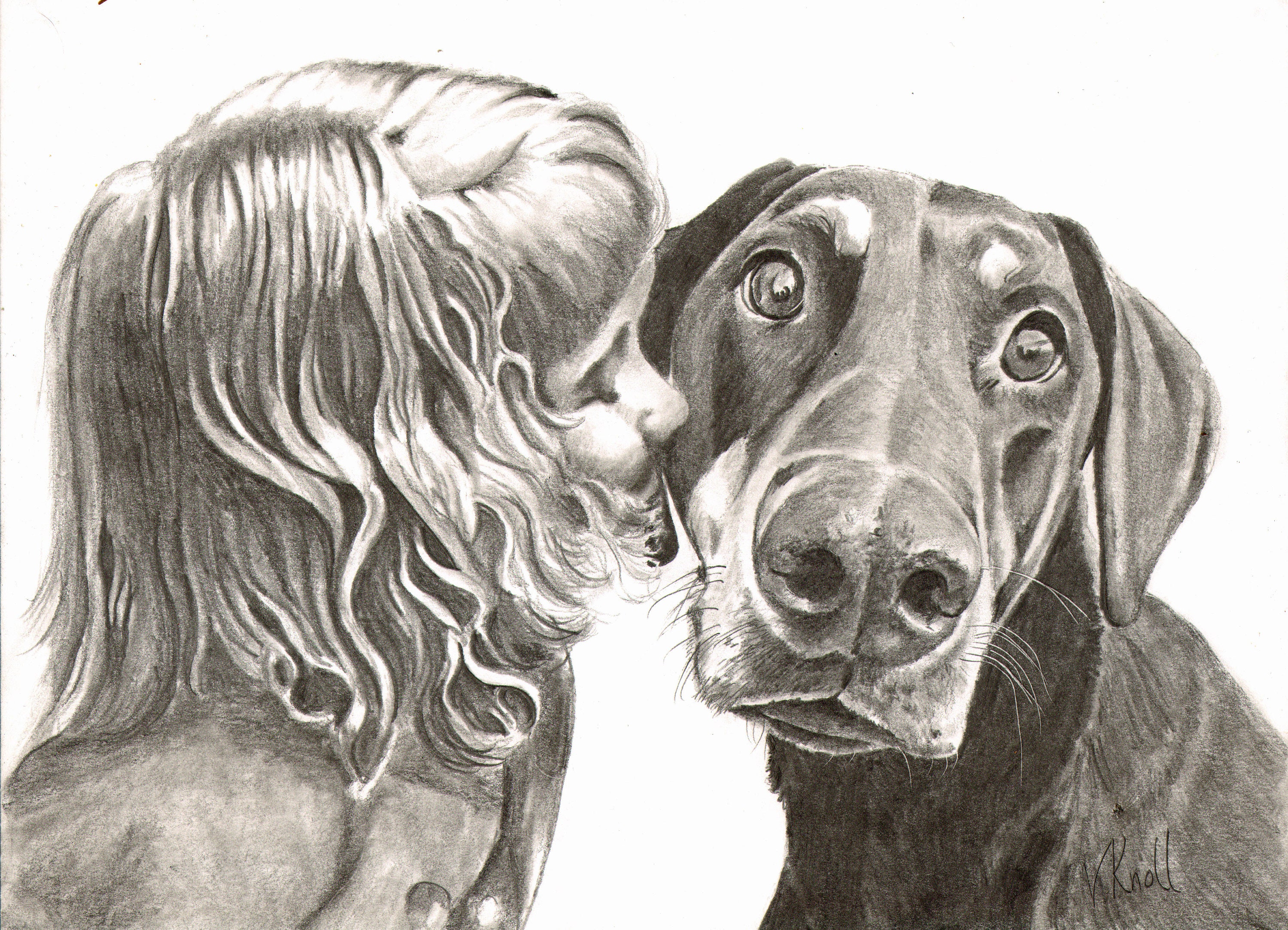 Hand Drawn Custom Graphite Illustrations of Pets and Animals From Your ...