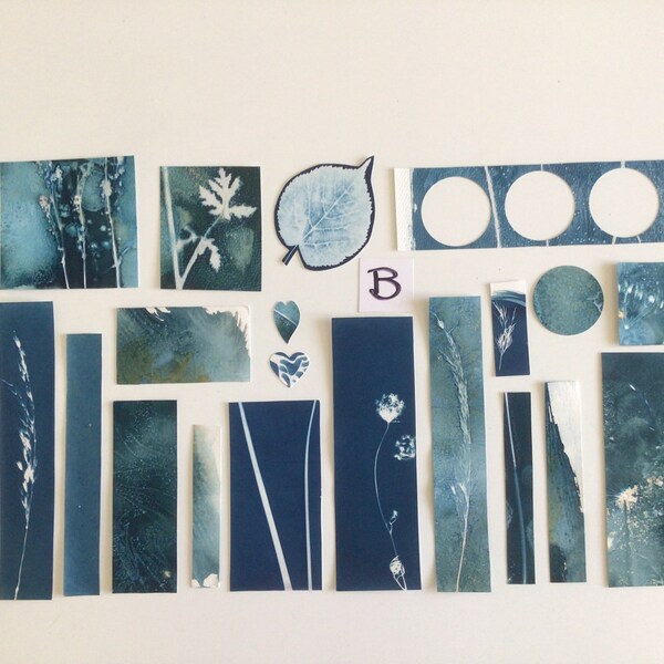 Cyanotype - Etsy UK