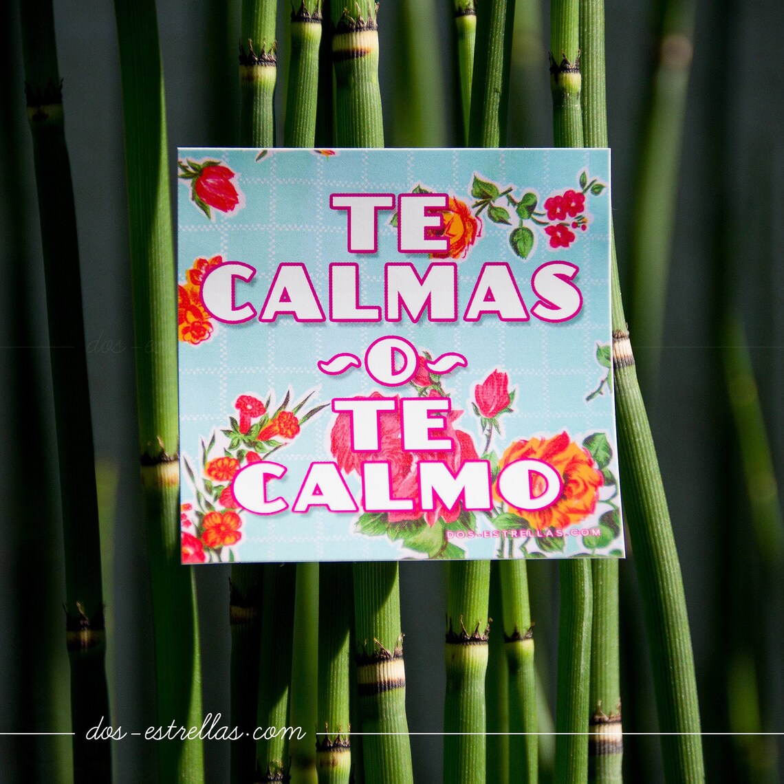 Te Calmas O Te Calmo / Mexican Spanish Quote 3 X 3 Vinyl - Etsy