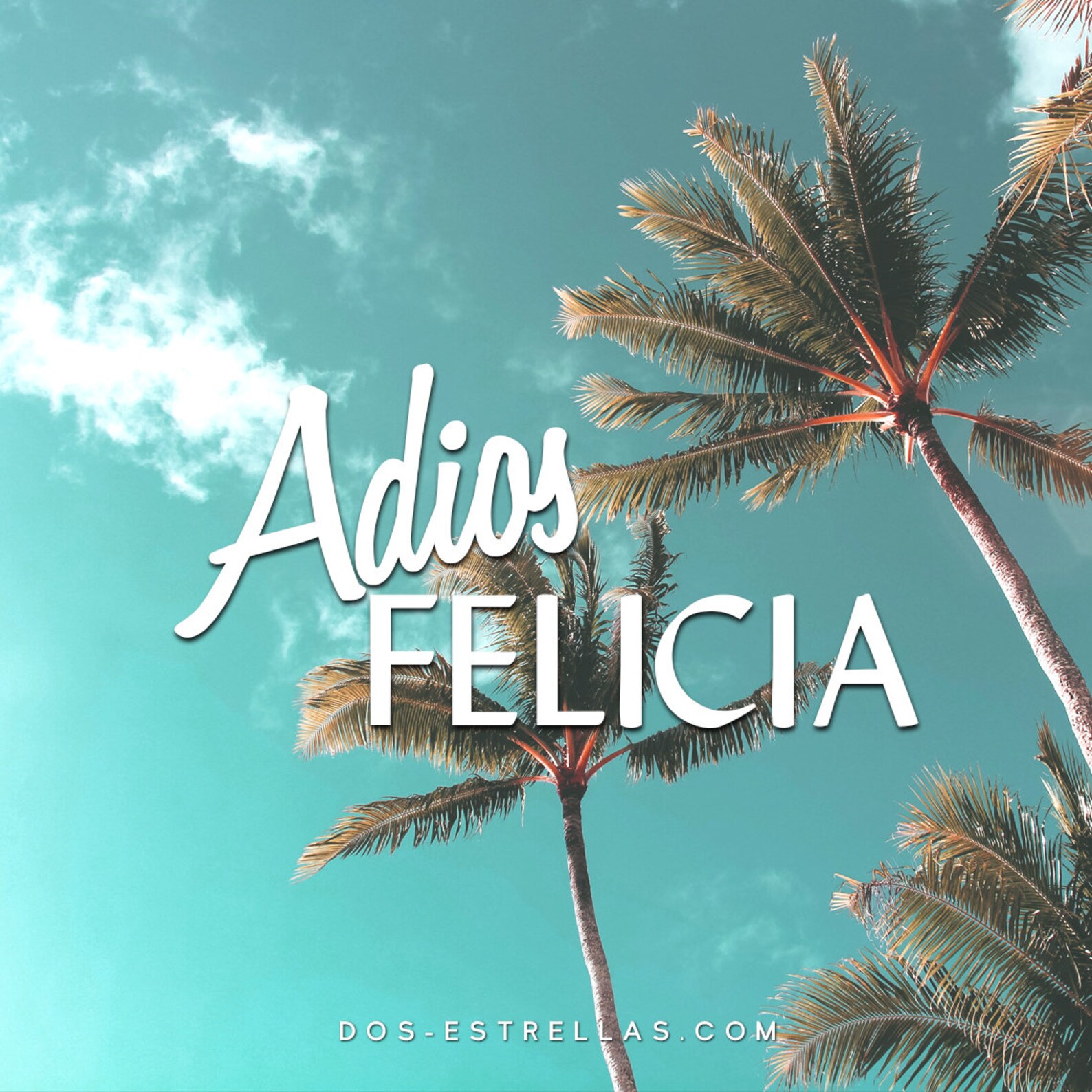 ADIOS Felicia! / Friday / LA All Day / Palms Mug - Etsy