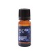 Christmas Tree Fragrance Oil 10ml - Etsy