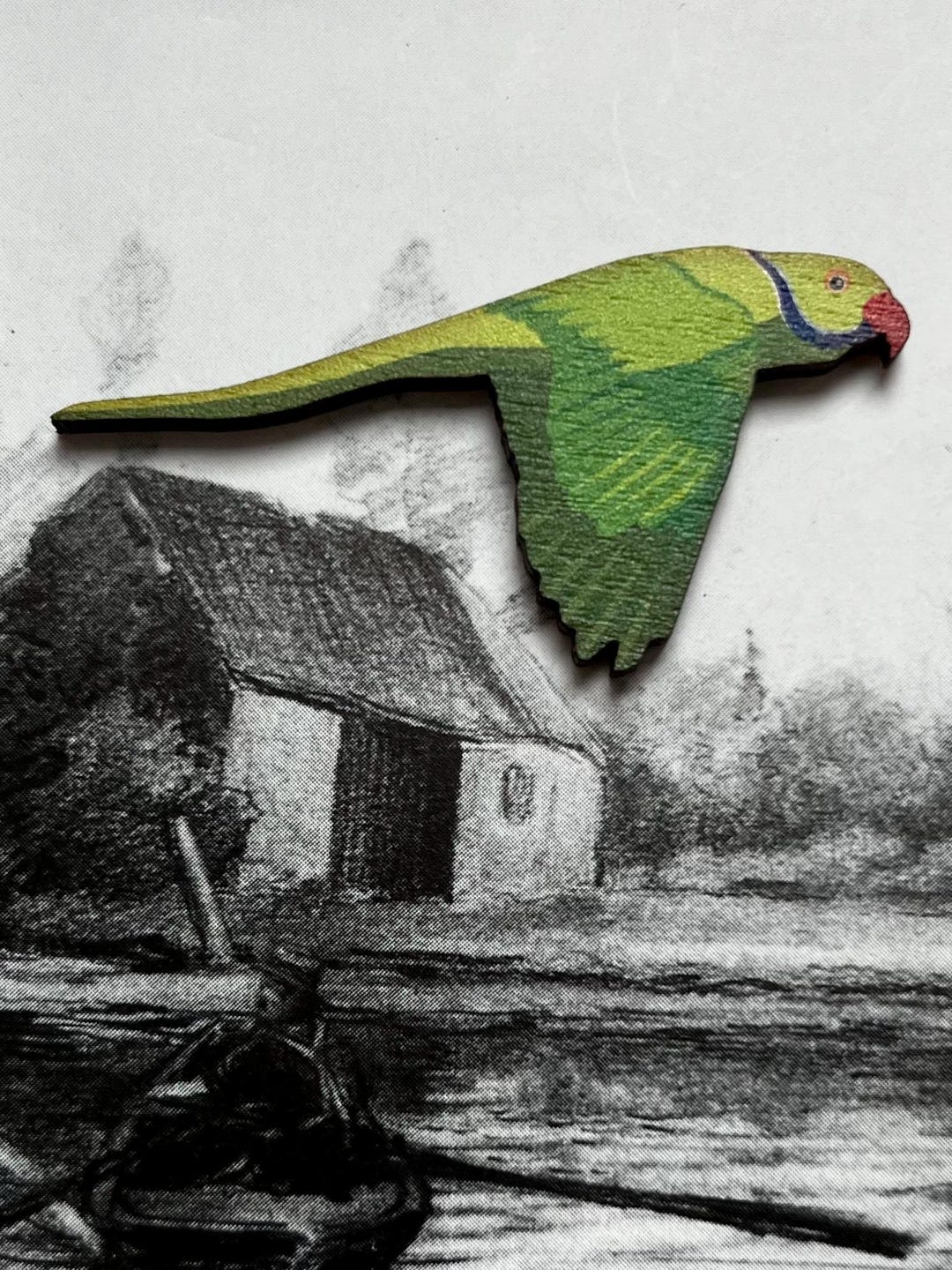 Parakeet Pin - Etsy