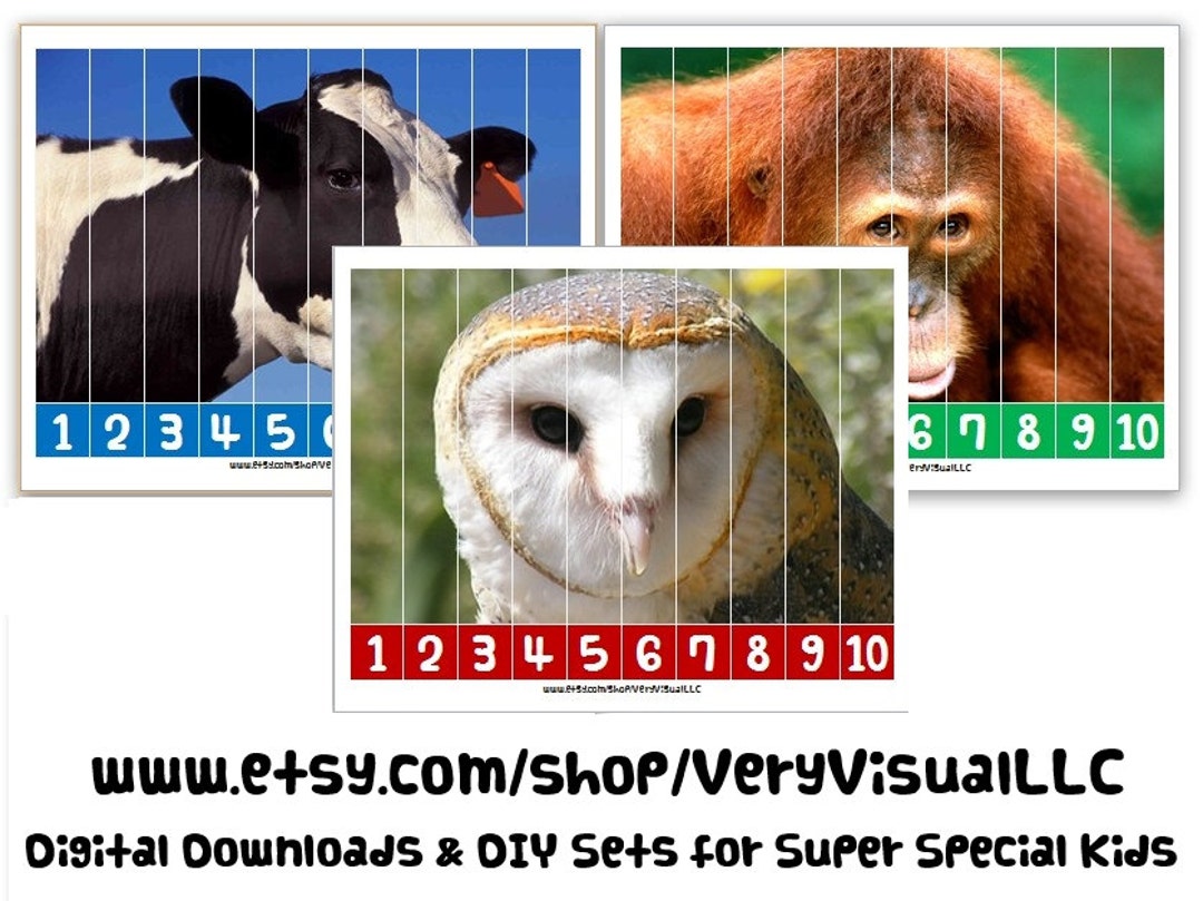 NUMBER SEQUENCING PUZZLE Activity : Autism Special Education Speech Aba ...