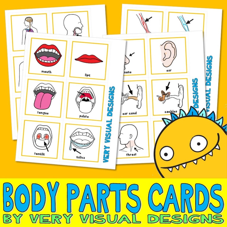 190 BODY PARTS PECS : Large Picture Communication Cards Anatomy Health ...