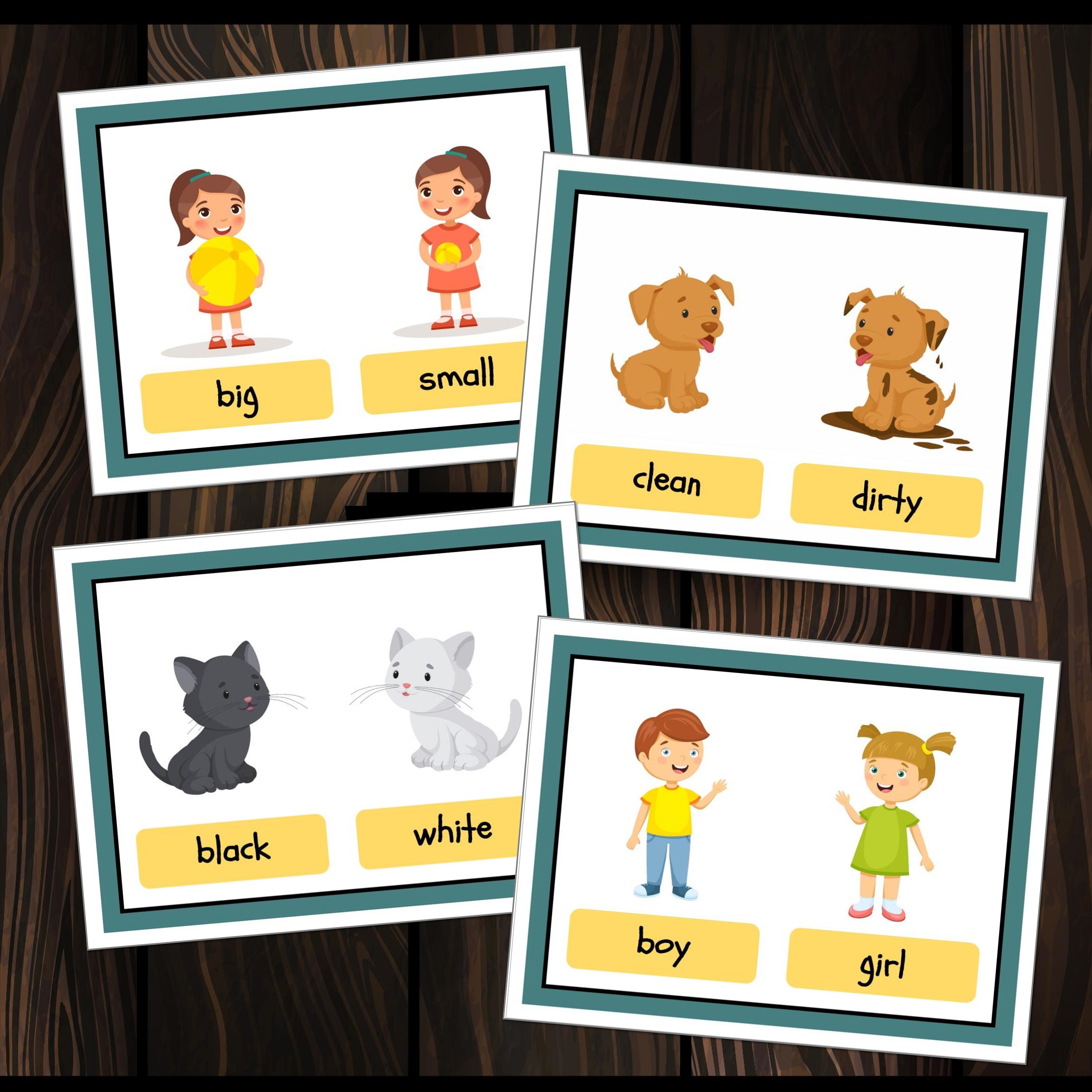 OPPOSITES CARD SET 1 : Kids Basic Concepts & Attributes Activity ...