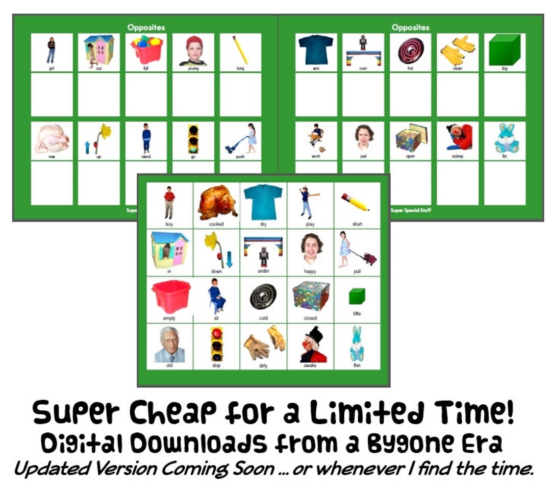OPPOSITES Match & Sort W/ 20 PECS Cards : Instant Digital Download ...