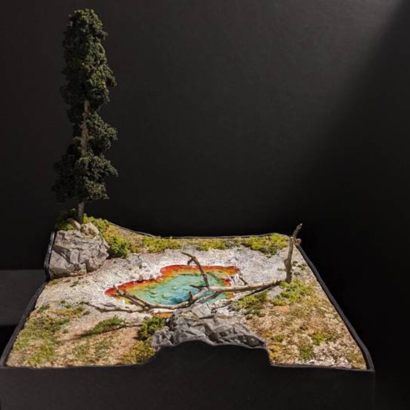 Nature Diorama - Etsy