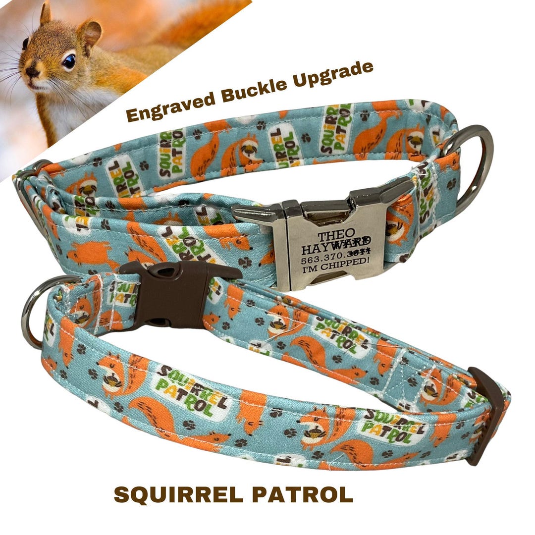 Squirrel Collar for Dogs & Cats- Buckled, Breakaway or Martingale ...