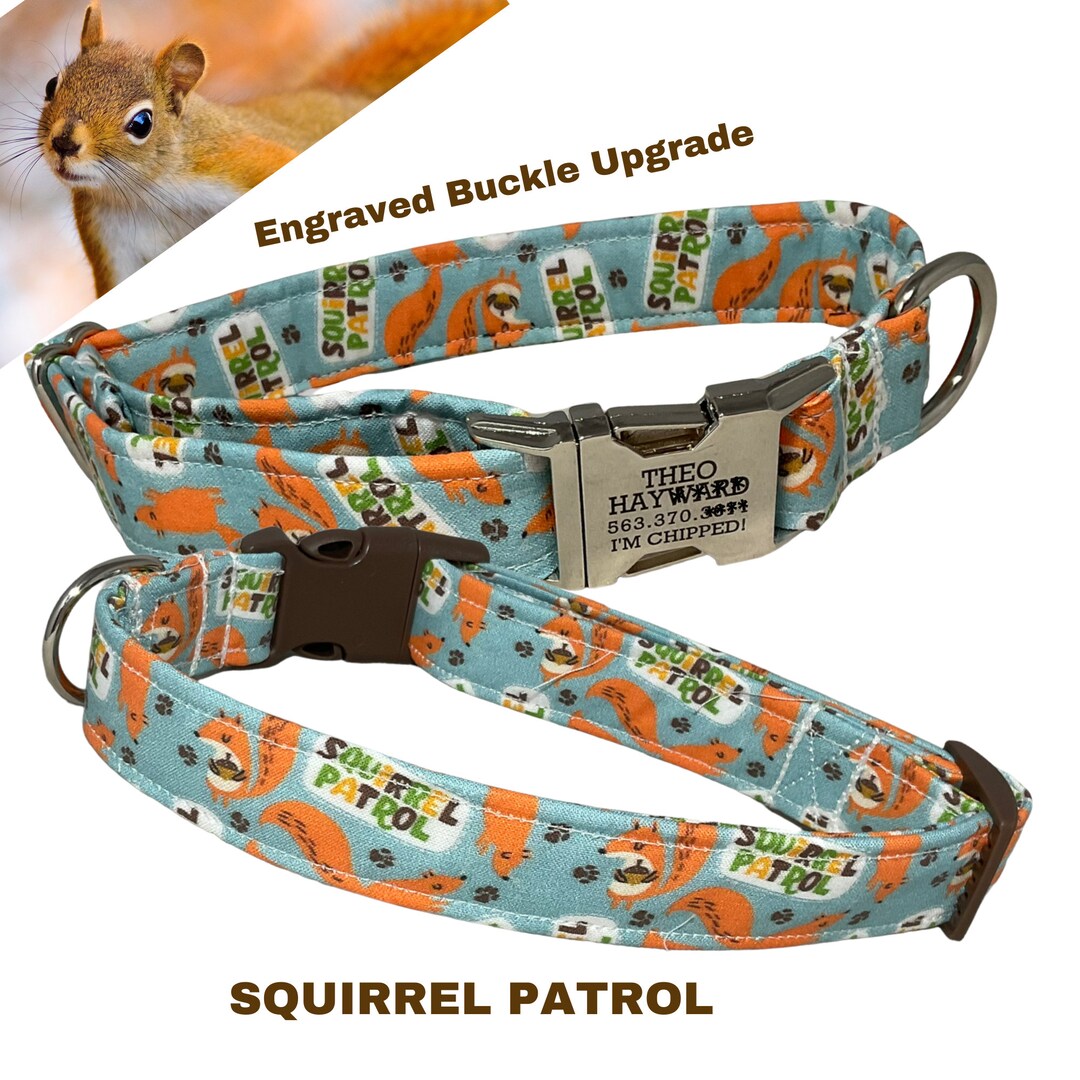Squirrel Collar for Dogs & Cats Buckled, Breakaway or Martingale Styles ...