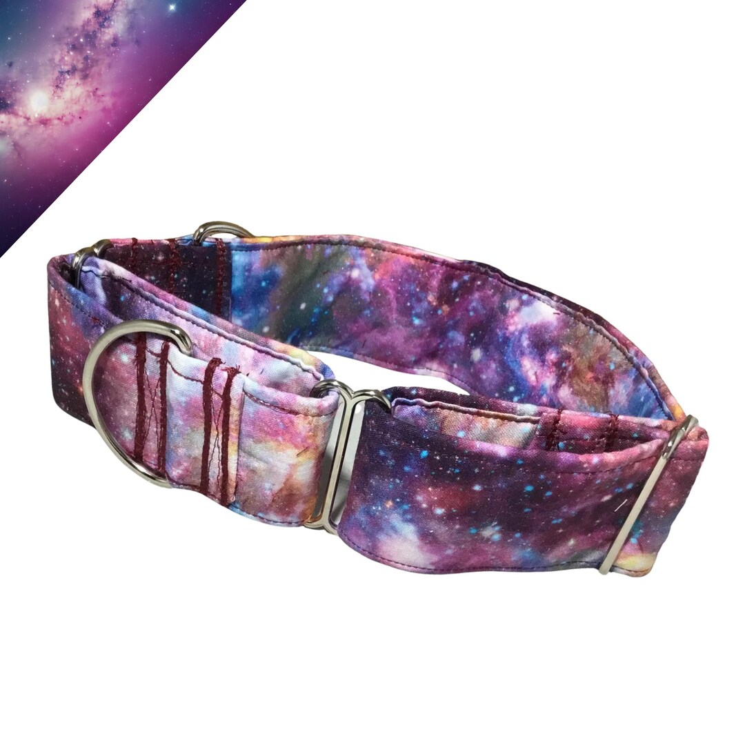 Celestial Galaxy Starry Martingale Dog Collar - Trendy Space Pet Gear ...