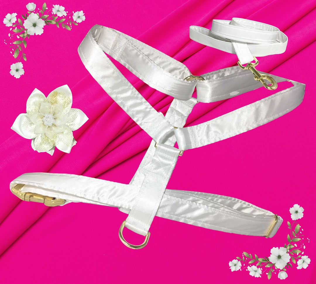 Satin White Wedding Harness for Dogs With Gold Metal Buckle -satin ...