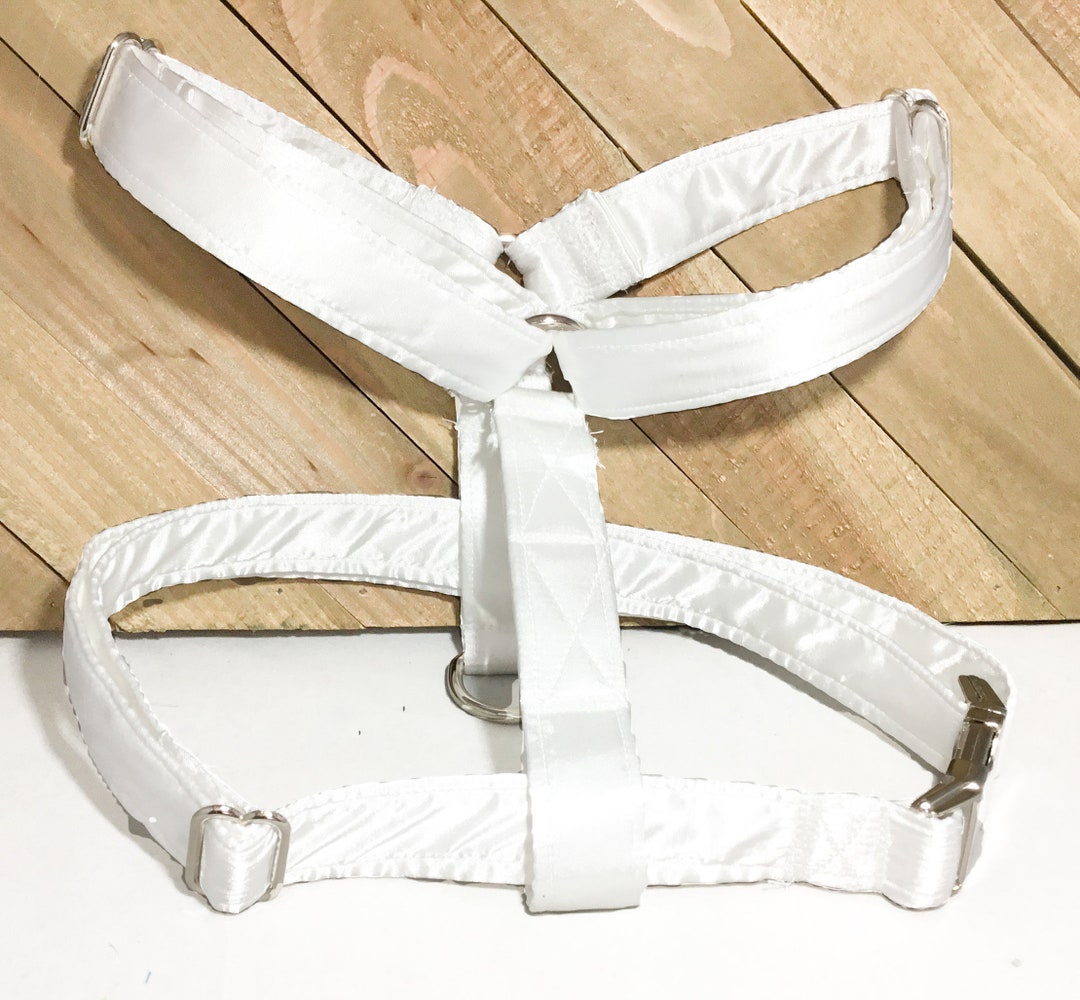 White Satin Wedding Dog Harness With Silver Metal Buckle / - Etsy