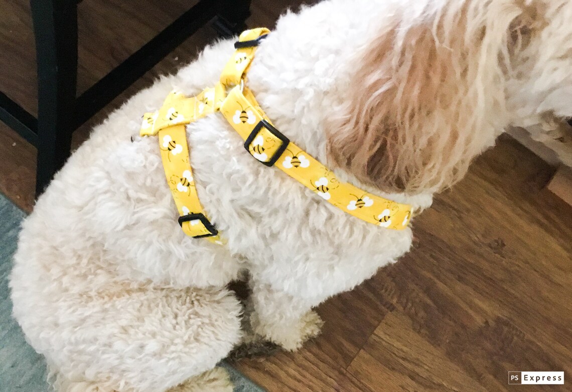 Adjustable Bumble Bee Roman Dog Harness //matching Leash Option ...