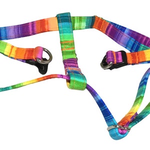 Colorful Rainbow Step in Dog Harness / 5 Ft Leash Upgrade / Matching ...