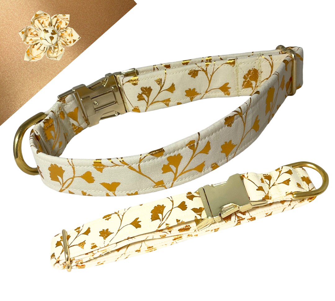 Elegant Metallic Gold Floral Pet Collar With Cream Background ...