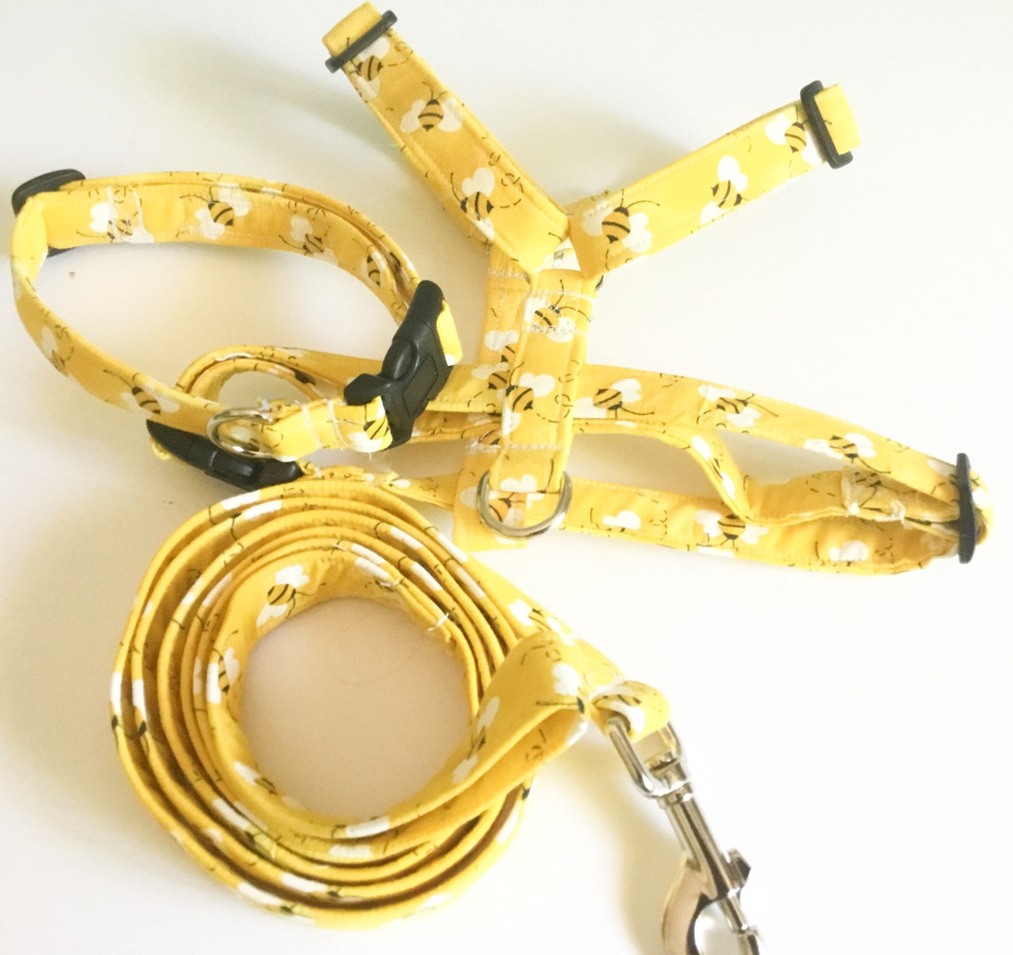 Adjustable Bumble Bee Roman Dog Harness //matching Leash | Etsy