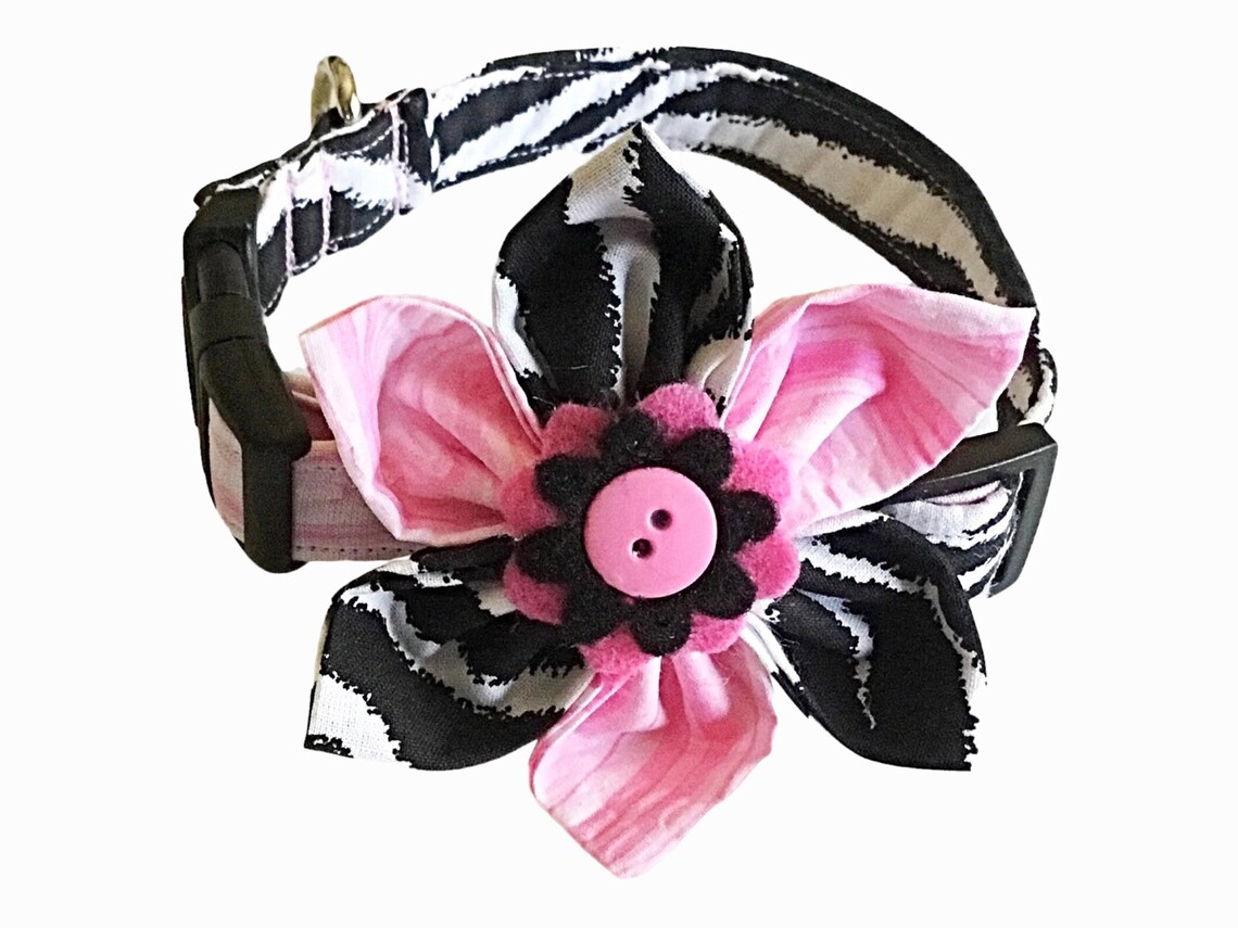 Zebra Animal Print Collar for Girl Dogs or Cats - Black & White Striped ...