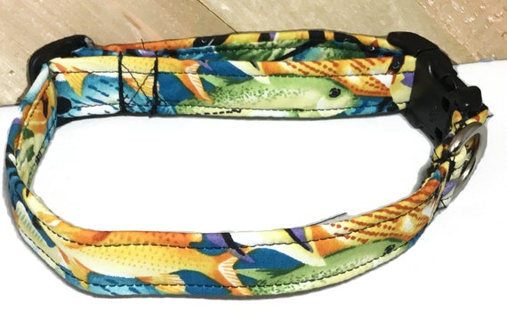 Colorful Tropical Fish Dog and Cat Collar in Buckled or | Etsy