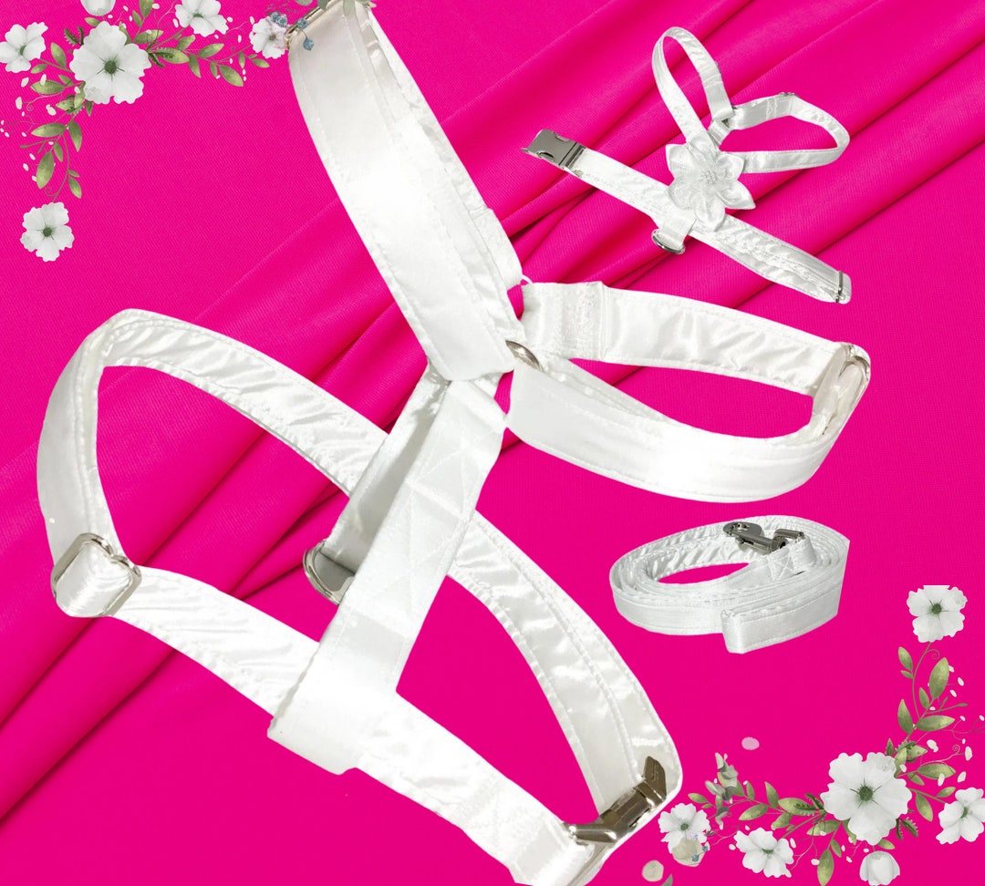 White Satin Wedding Dog Harness With Silver Metal Buckle / Satin Roman ...