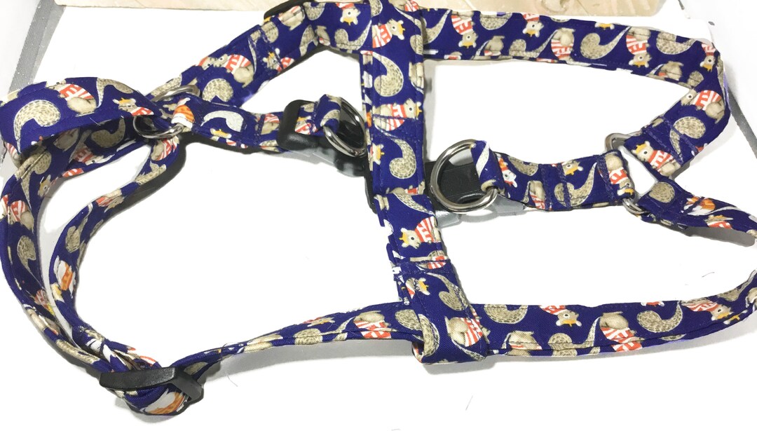 Blue Fall Squirrel Step in Dog Harness With Black Buckle, Squirrel ...